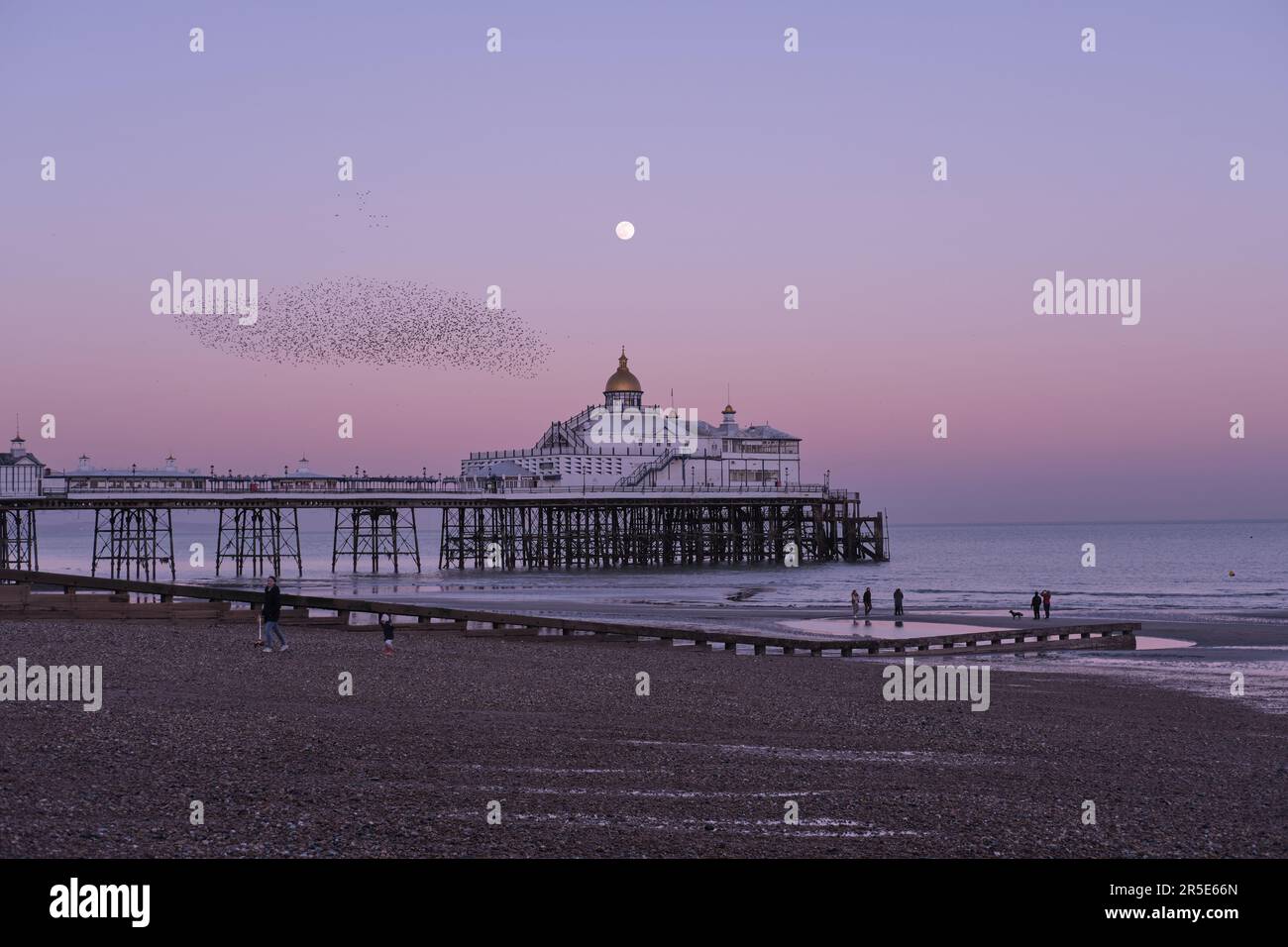 Eastbourne pier and seafront Stock Photo - Alamy