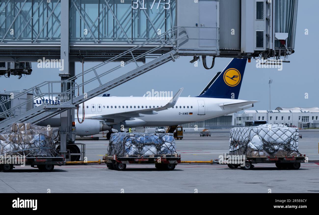 Munich, Germany. 01st June, 2023. Baggage carts stand on the apron at ...