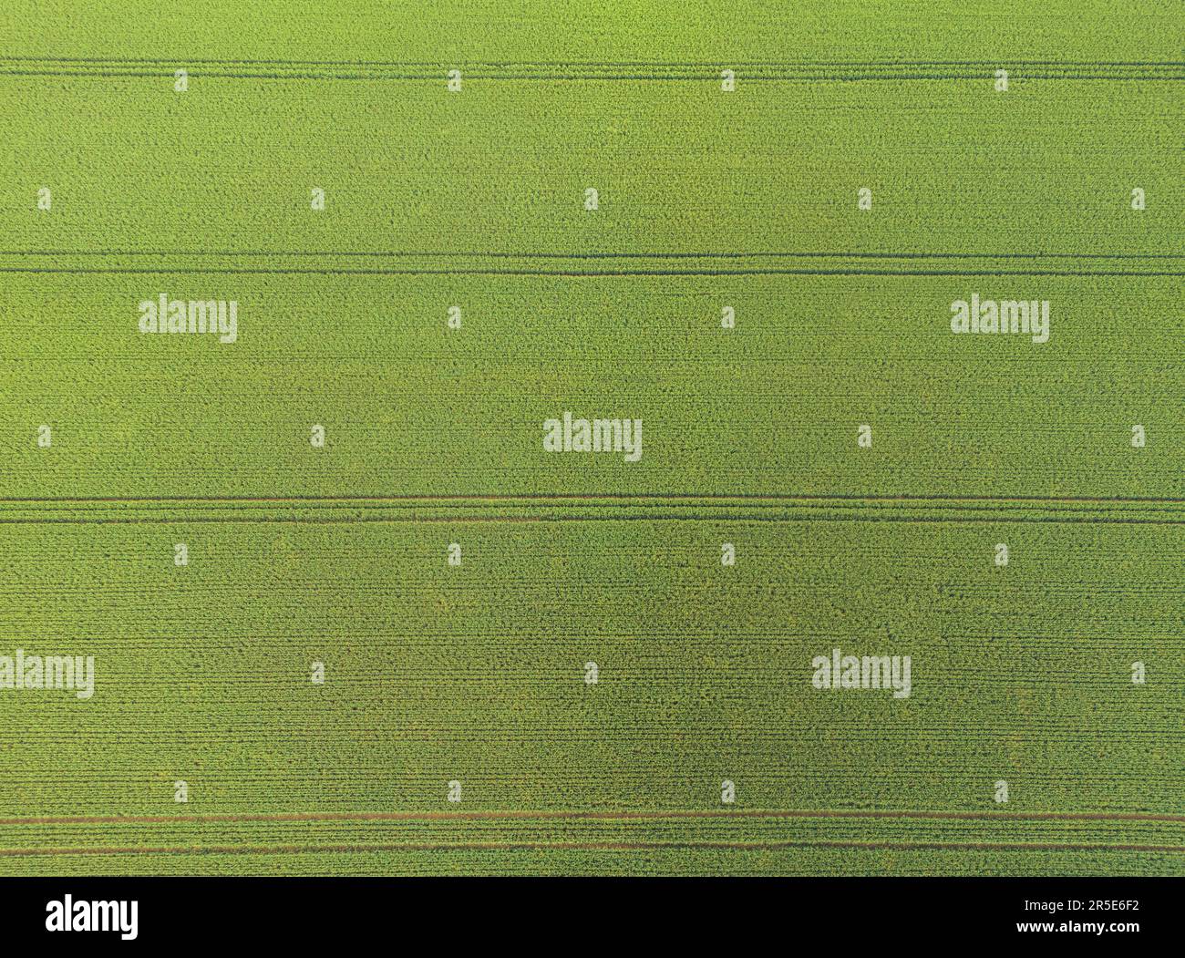 Crop aerial view hi-res stock photography and images - Alamy