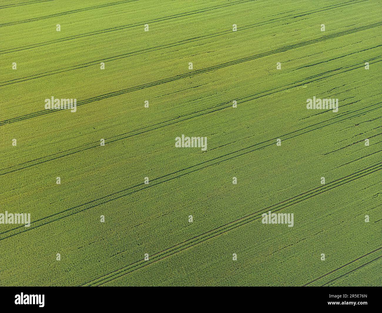 Taking care of the crop. Aerial view of irrigation system for ...