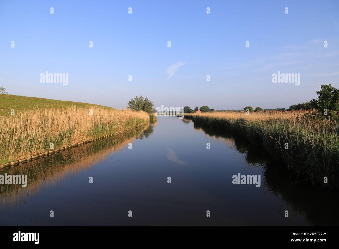 River canal sunset environment spring hi-res stock photography and ...