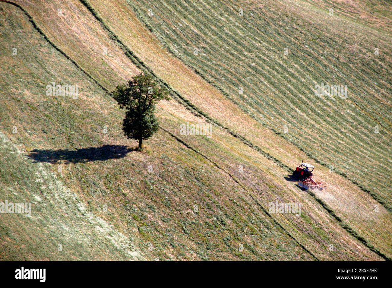 Agricultural work in the field Stock Photo - Alamy