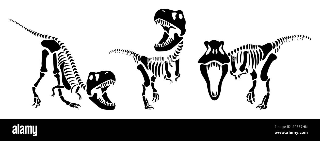 Tyrannosaurus Rex skeleton silhouette . Vector illustration Stock Vector Image & Art - Alamy
