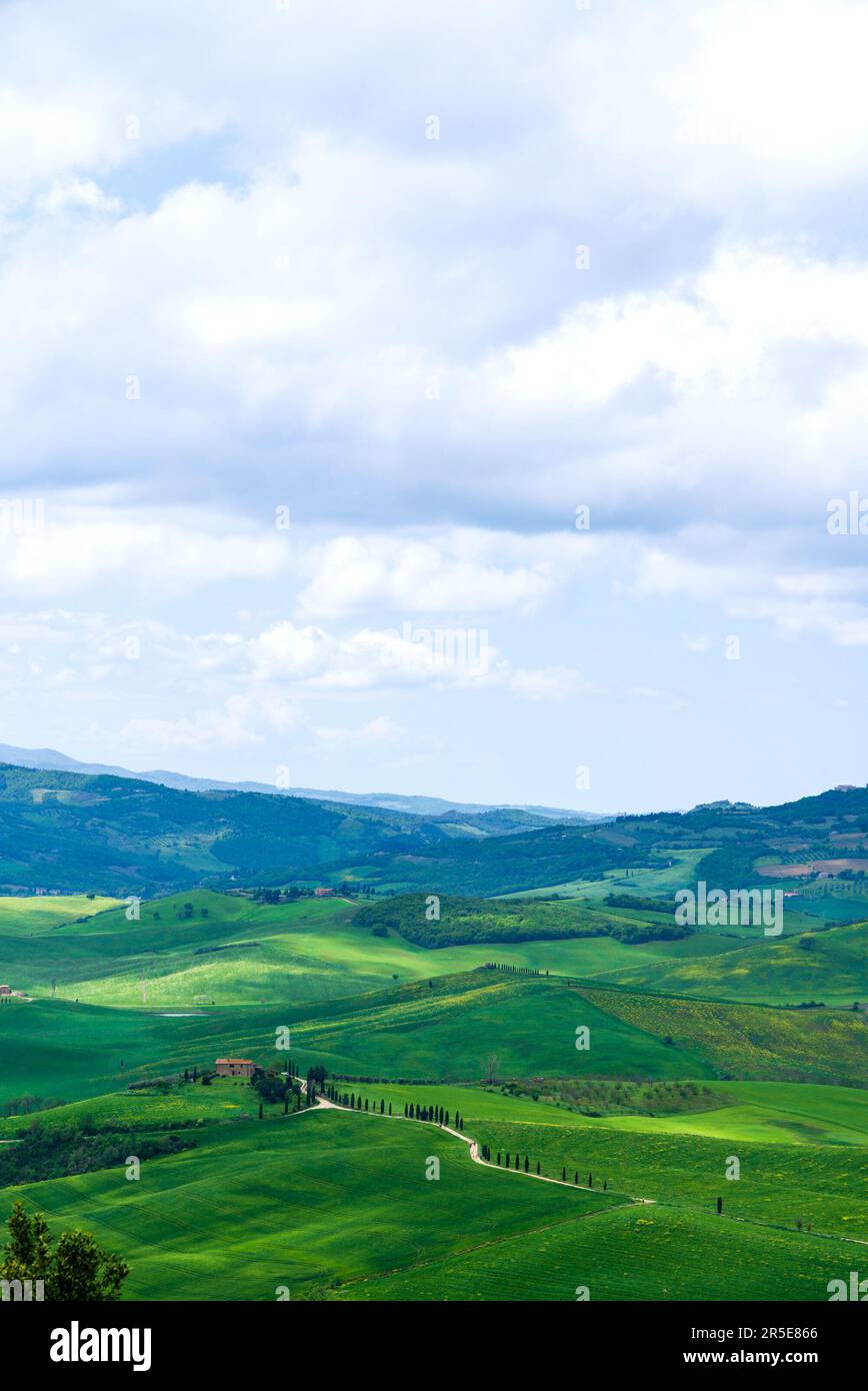 The wavy hills of the landscape in Val d'Orcia from Pienza Stock Photo ...