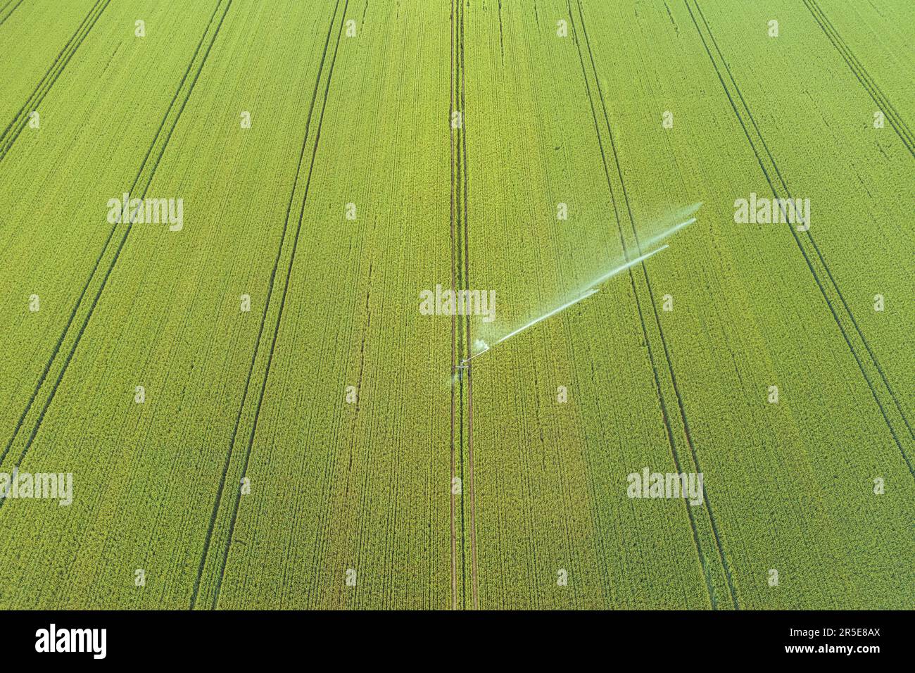 Taking care of the crop. Aerial view of irrigation system for ...