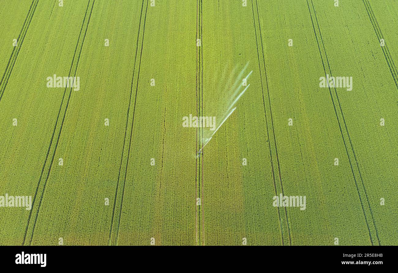 Taking care of the crop. Aerial view of irrigation system for ...