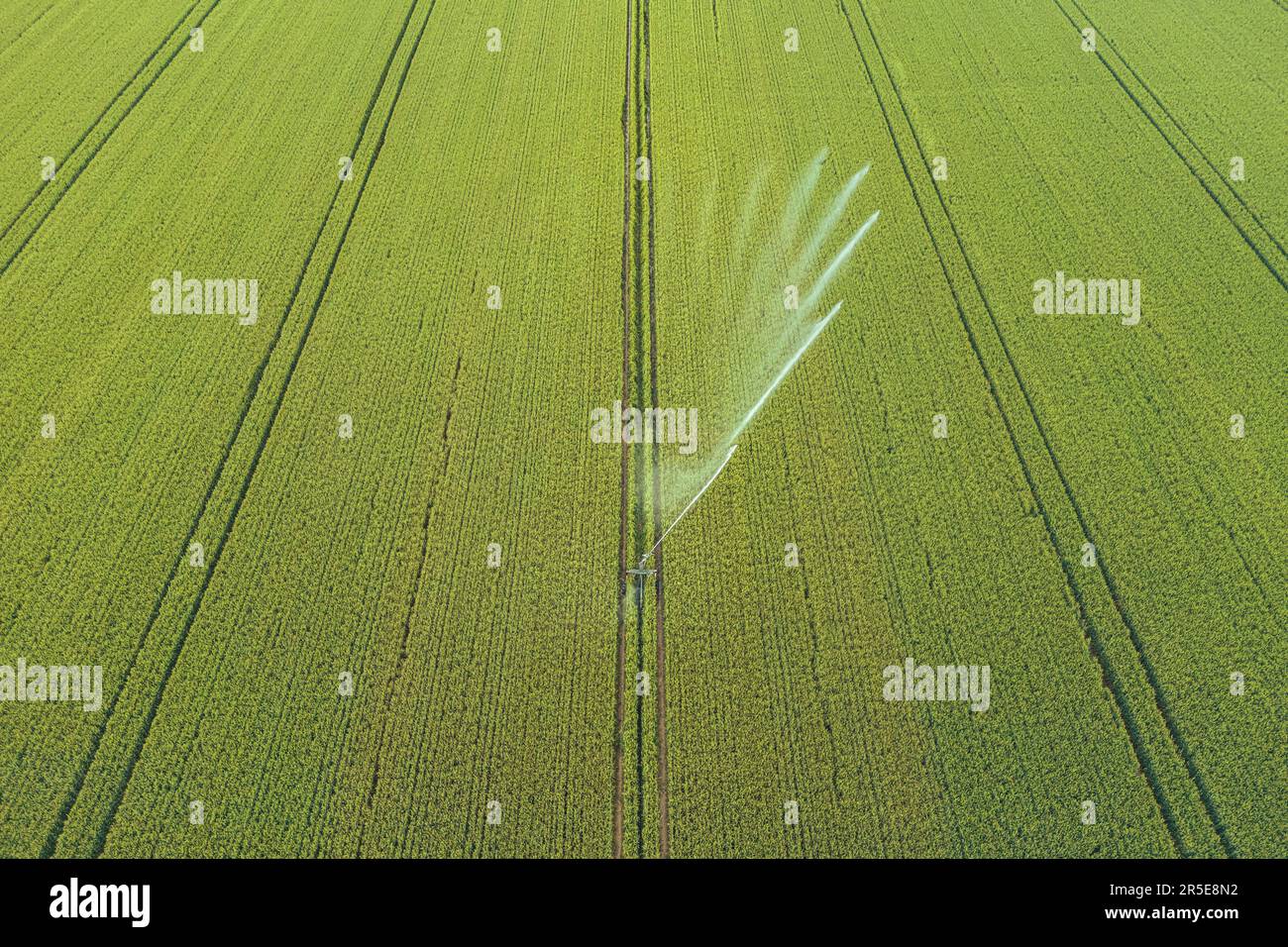Taking care of the crop. Aerial view of irrigation system for ...