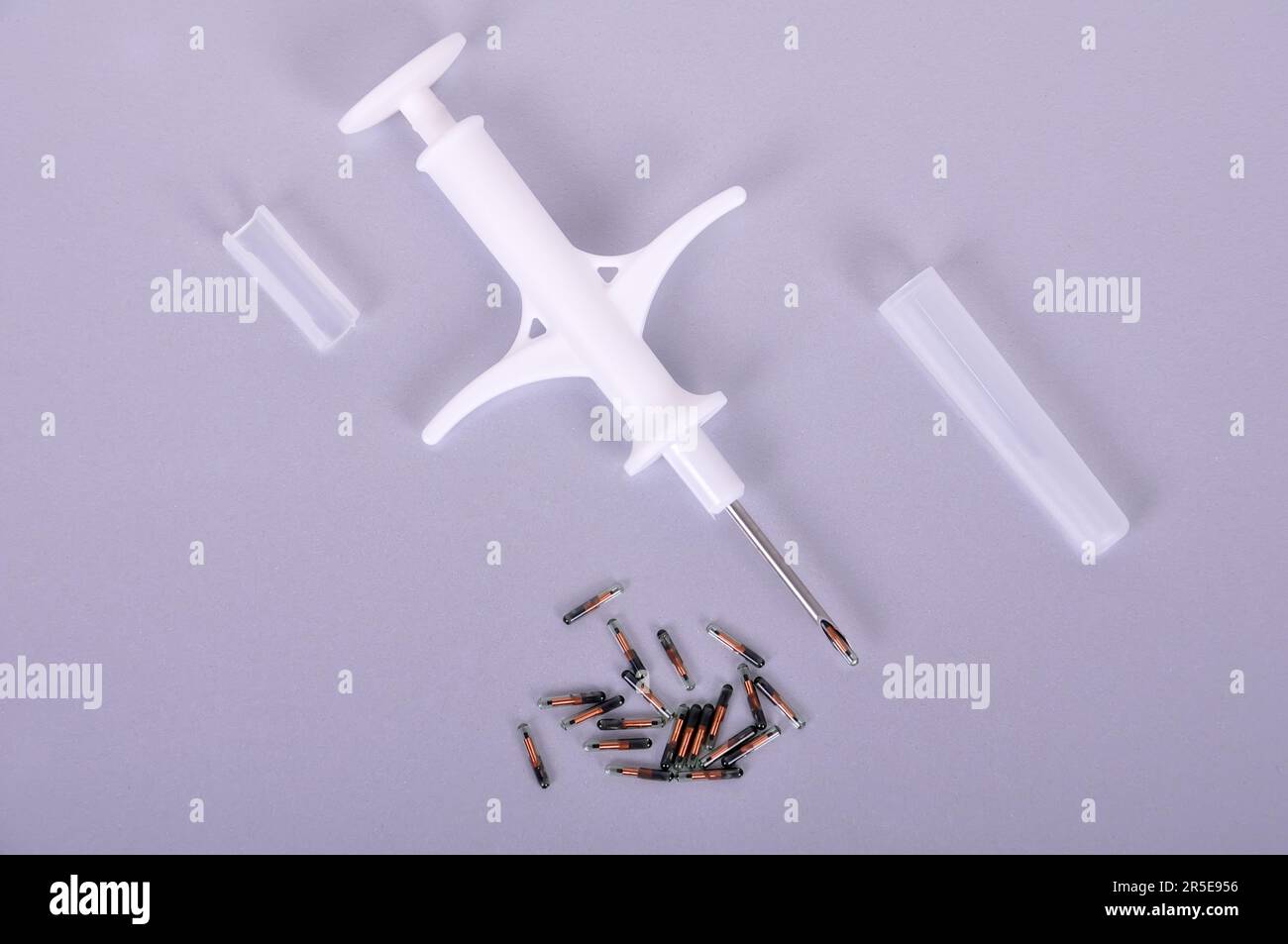 Syringe for introduction of chip and animal id Stock Photo - Alamy