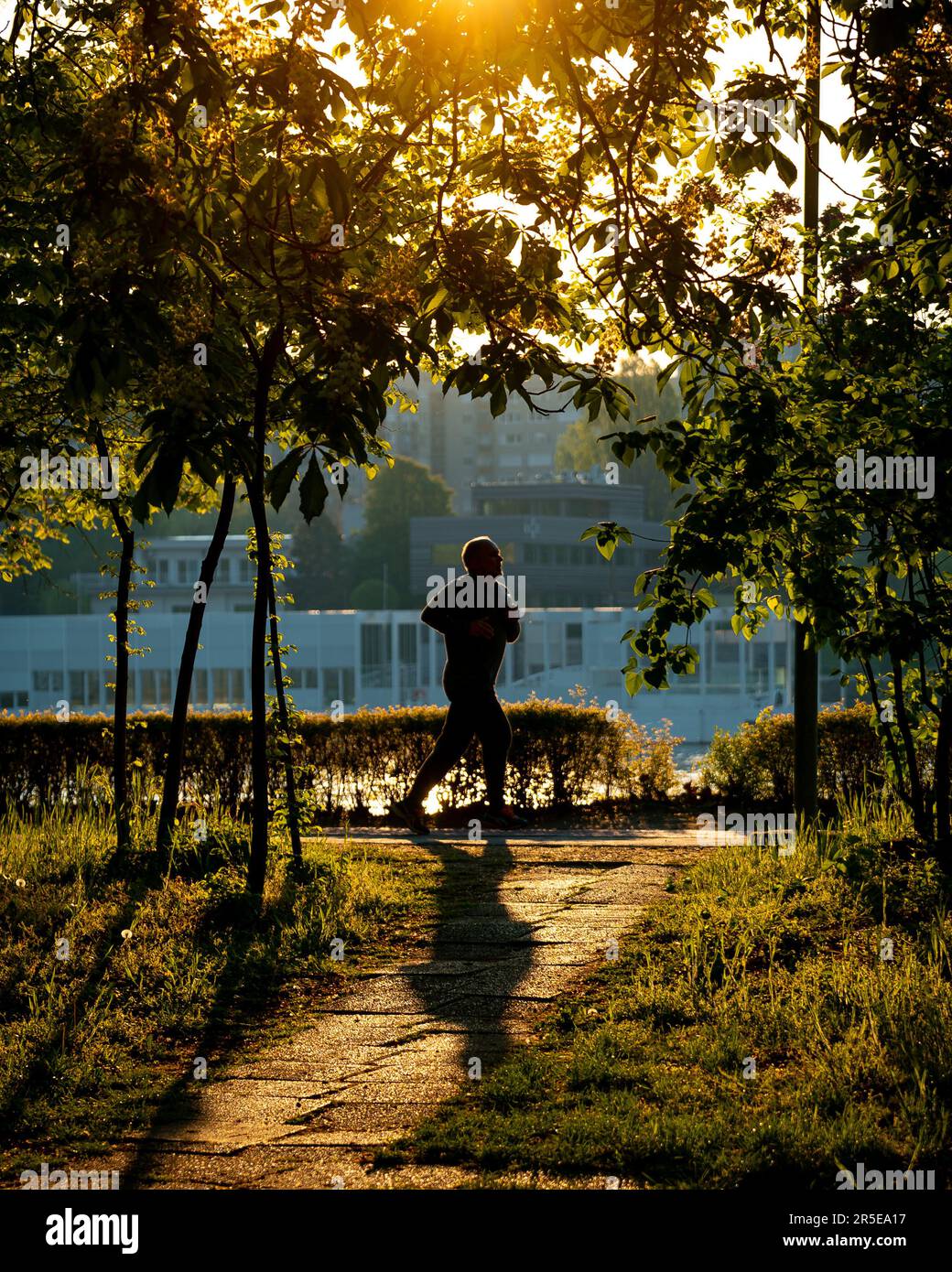 The man jogging in the morning lights. People needs a green area where ...