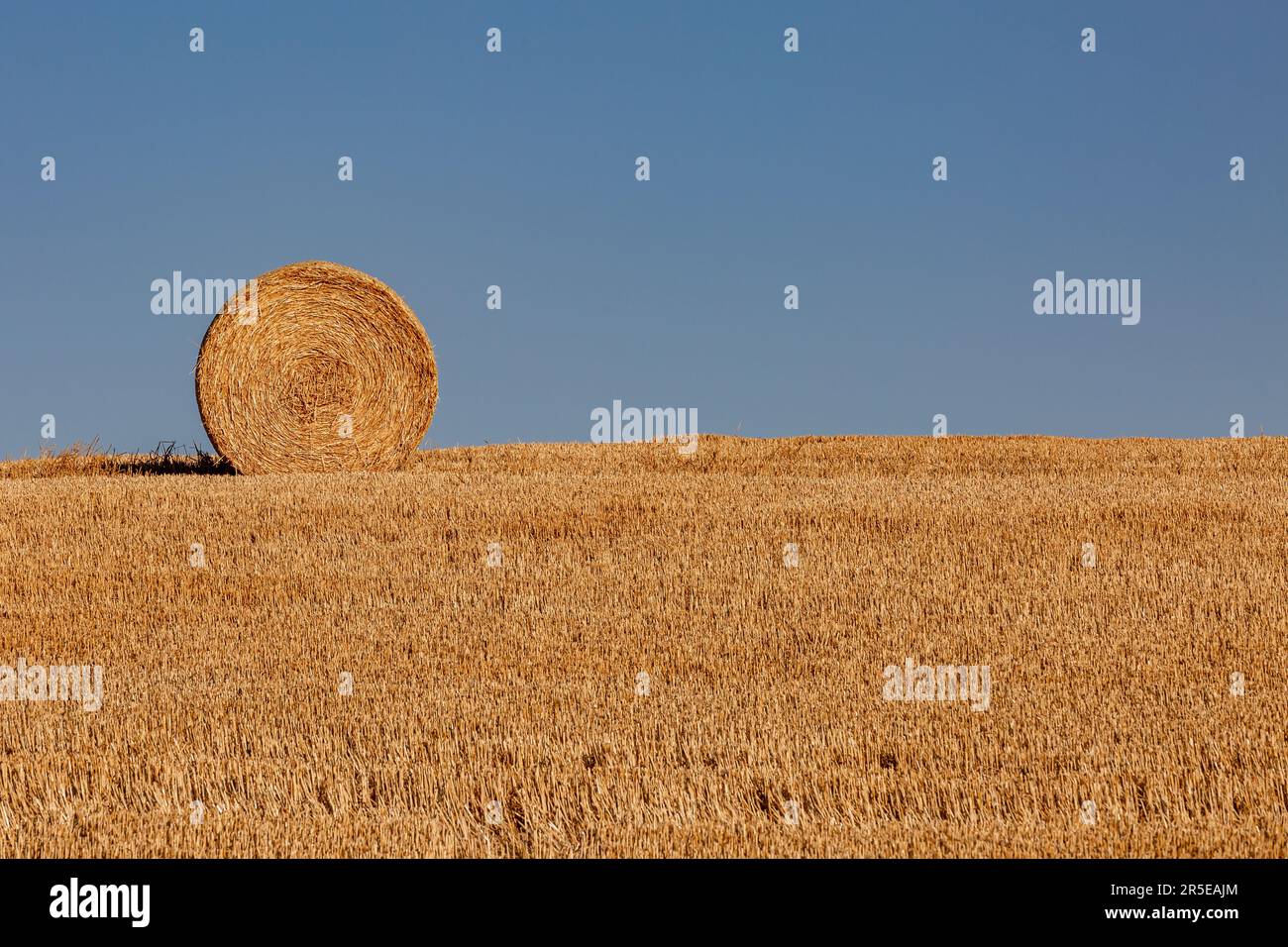 A bale of straw on the horizon, with a blue sky overhead Stock Photo ...