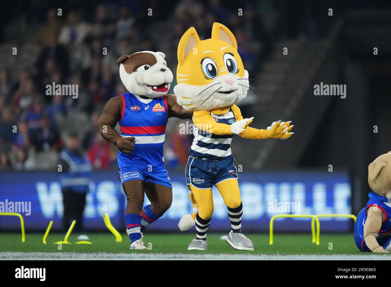 Melbourne, Australia. 03rd June, 2023. Mascots race before the AFL Round 12 match between the ...