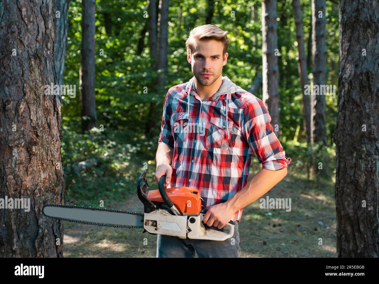Strong lumberjack with an axe or chainsaw in a plaid shirt. Lumberjack ...