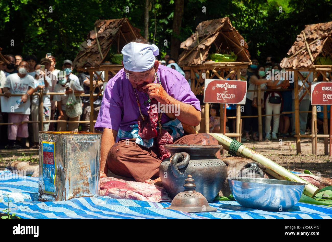A Thai man involves ' medium ' eats raw buffalo meat during the Pu Sae ...
