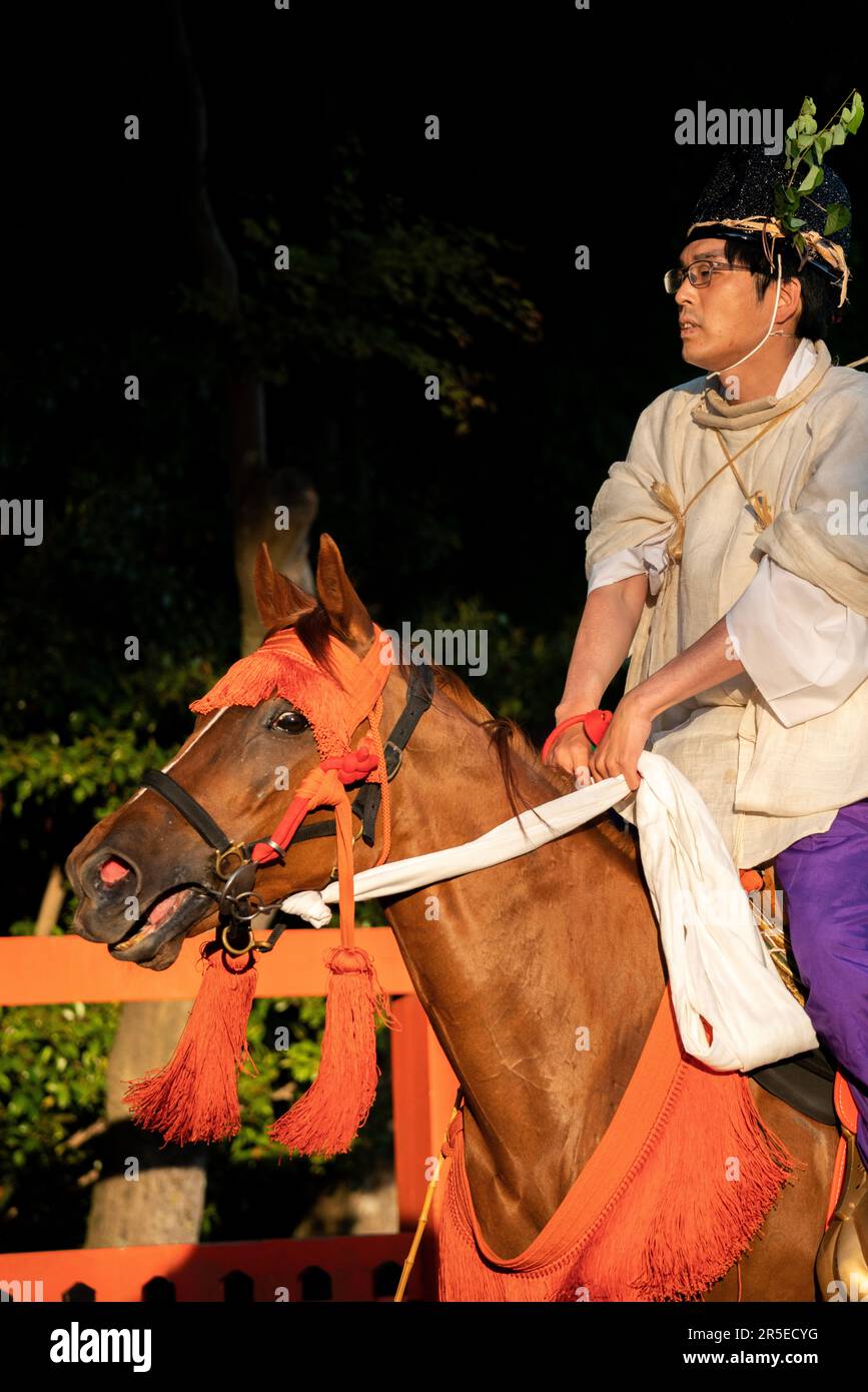 Lower angle view of a horse Stock Photo - Alamy