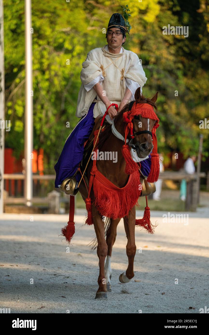 Lower angle view of a horse Stock Photo - Alamy