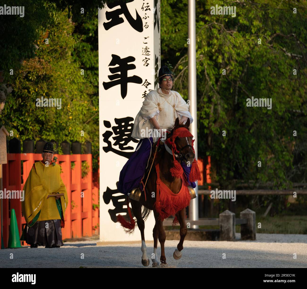 Lower angle view of a horse Stock Photo - Alamy