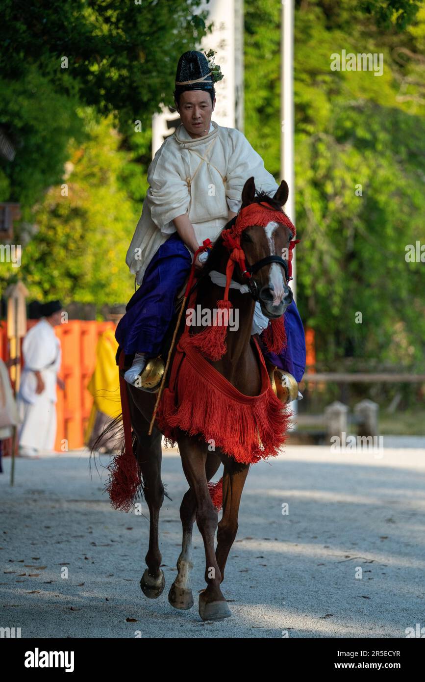Lower angle view of a horse Stock Photo - Alamy