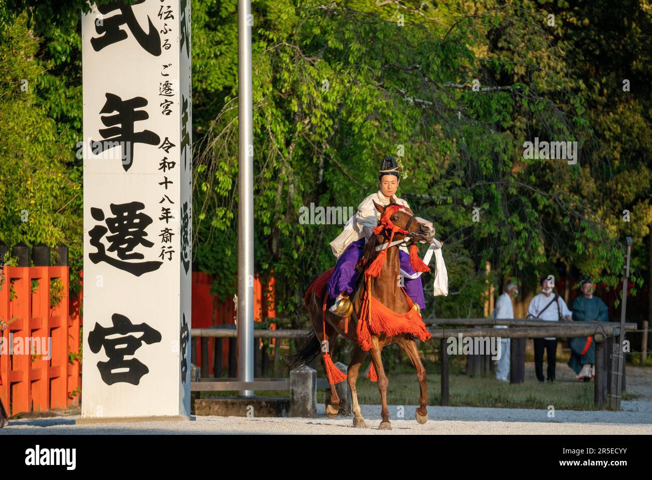 Lower angle view of a horse Stock Photo - Alamy