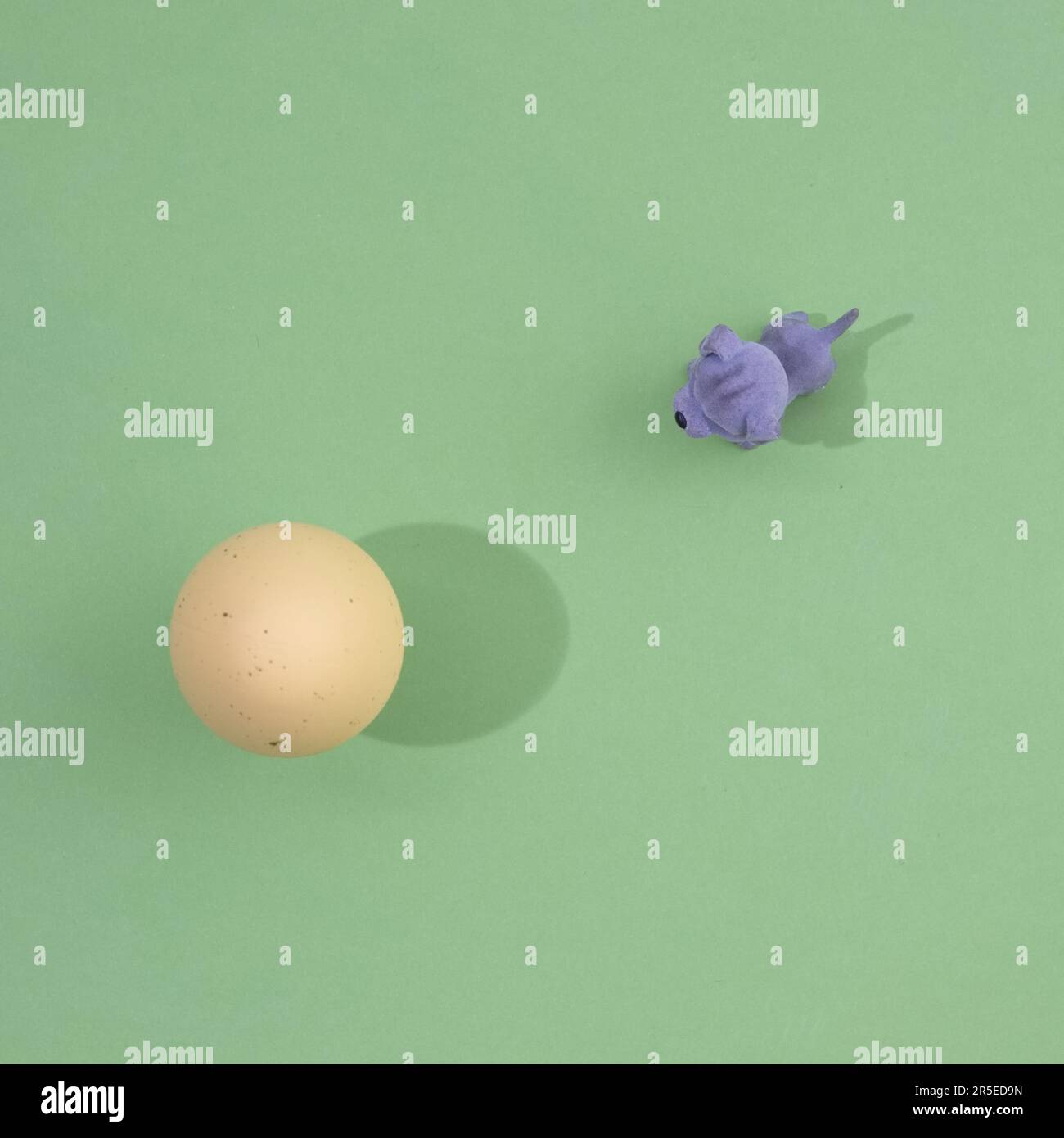 A yellow Easter egg with a sharp shadow and a small puppy across the ...