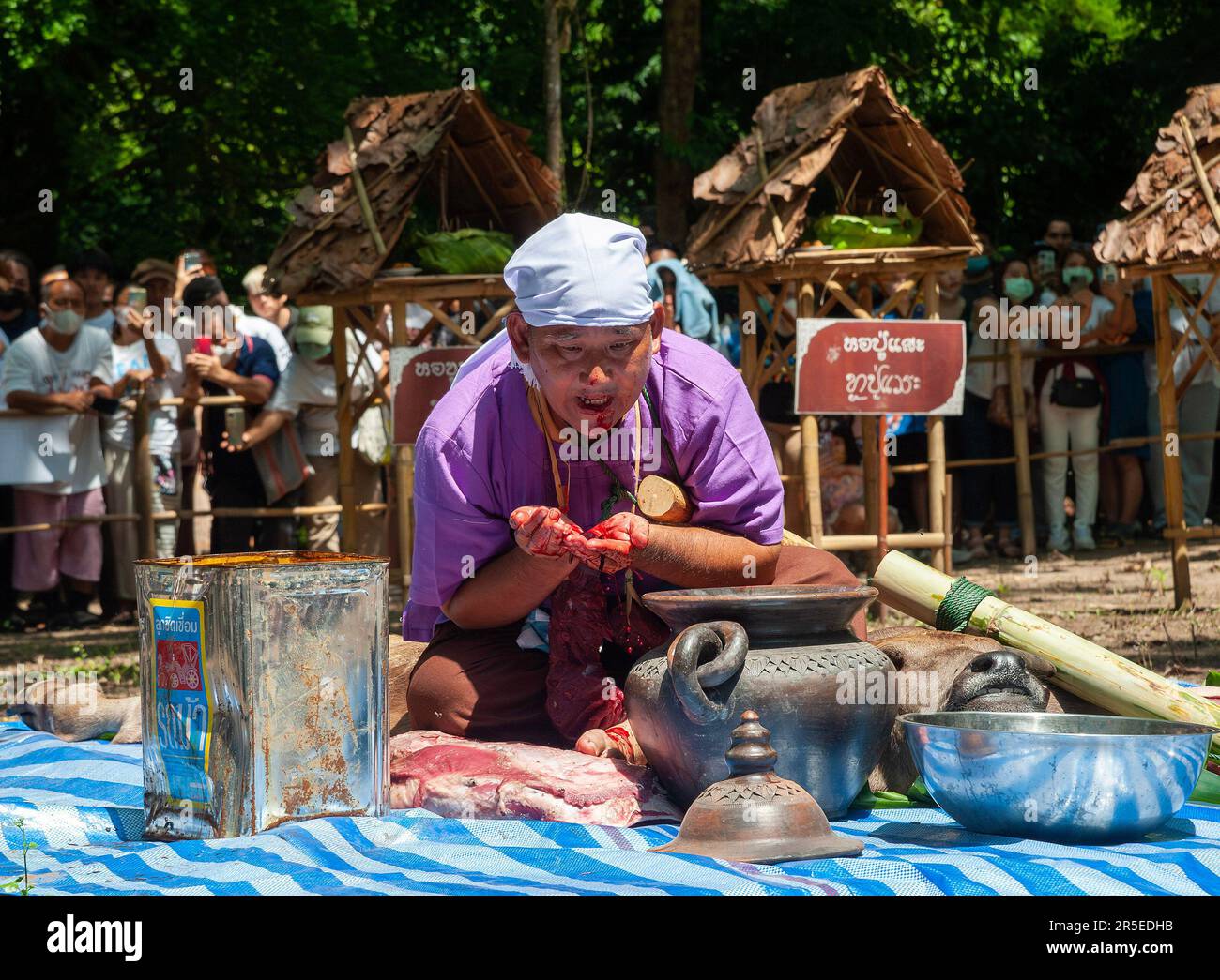 A Thai man involves ' medium ' drinks buffalo blood during the Pu Sae ...