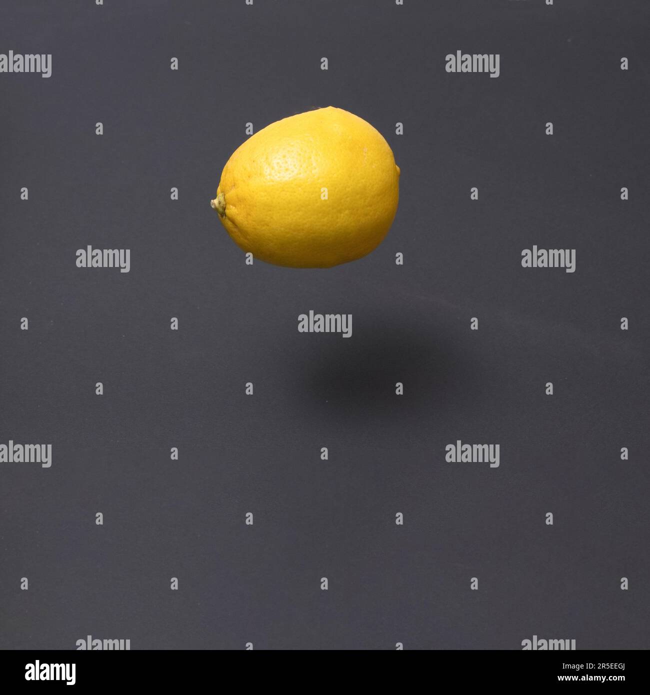 A lemon levitating with copy space on a black and white background ...