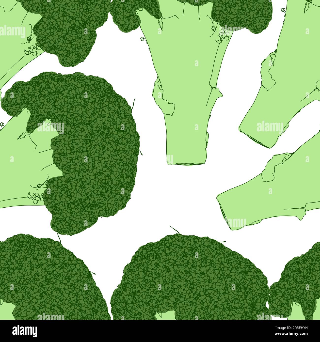 Seamless texture with broccoli isolated on white background. Vector ...