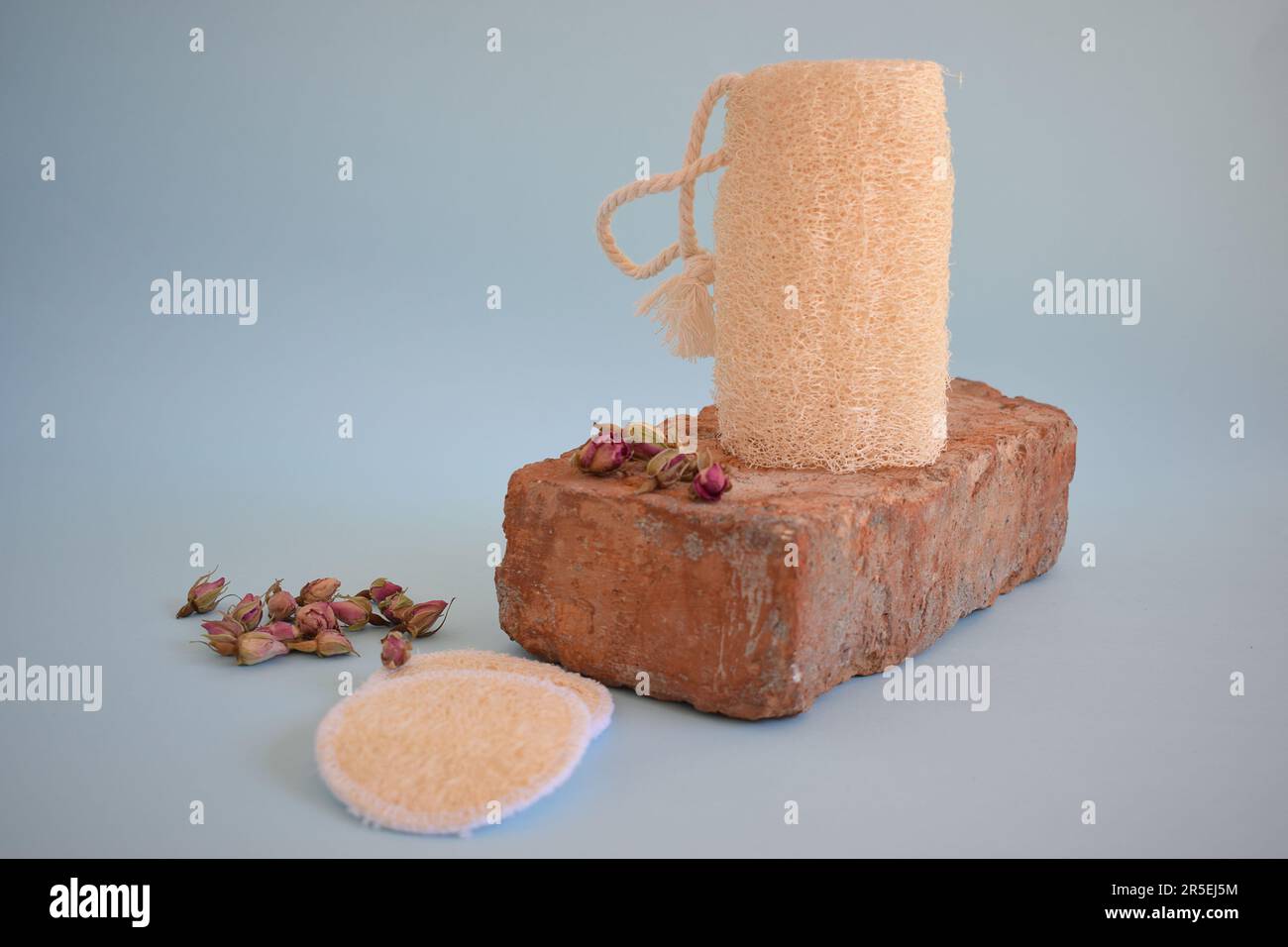 Natural Luffa Sponge. Body scrap with natural sponge Stock Photo - Alamy