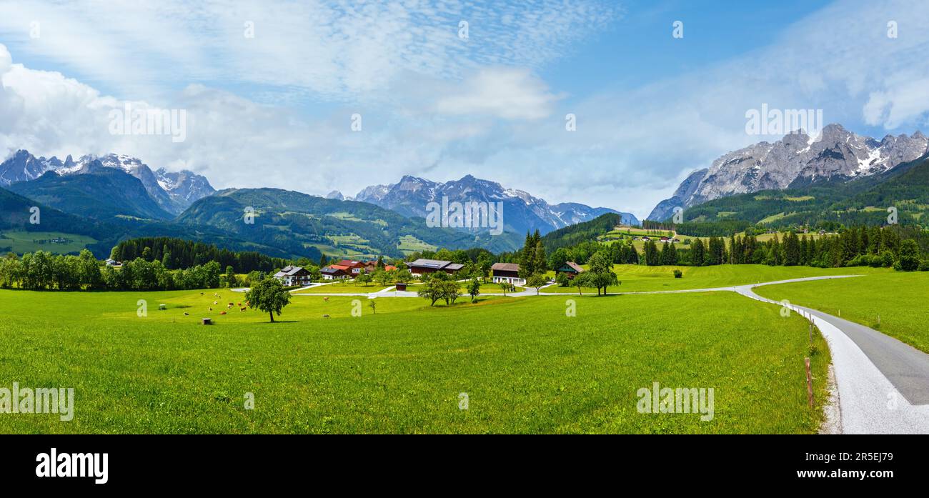 Summer Alpine mountain country panorama with grassy meadow and road to ...