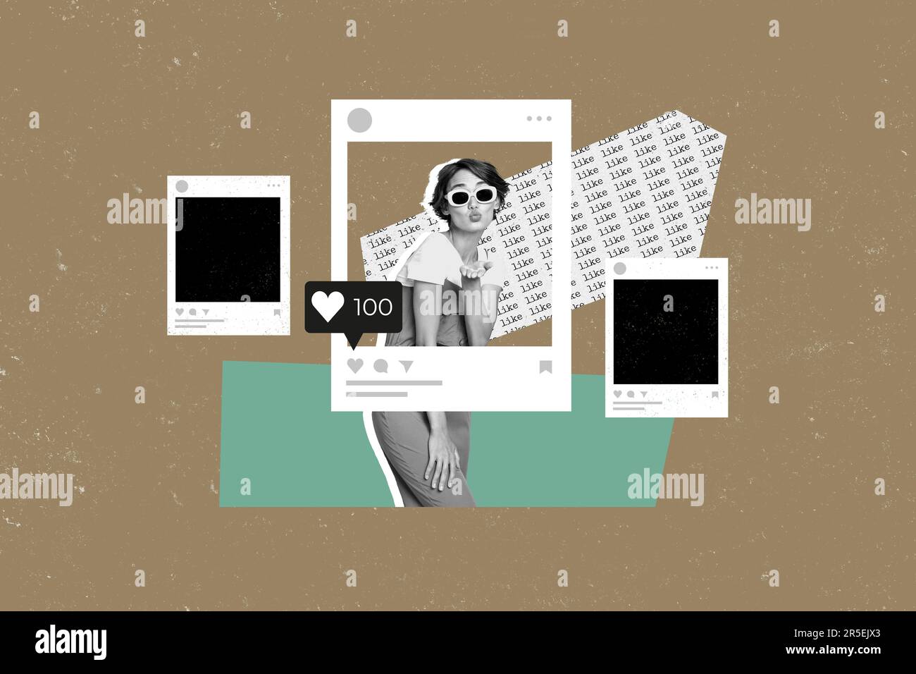 Poster banner collage of cool coquette lady making photo post on ...