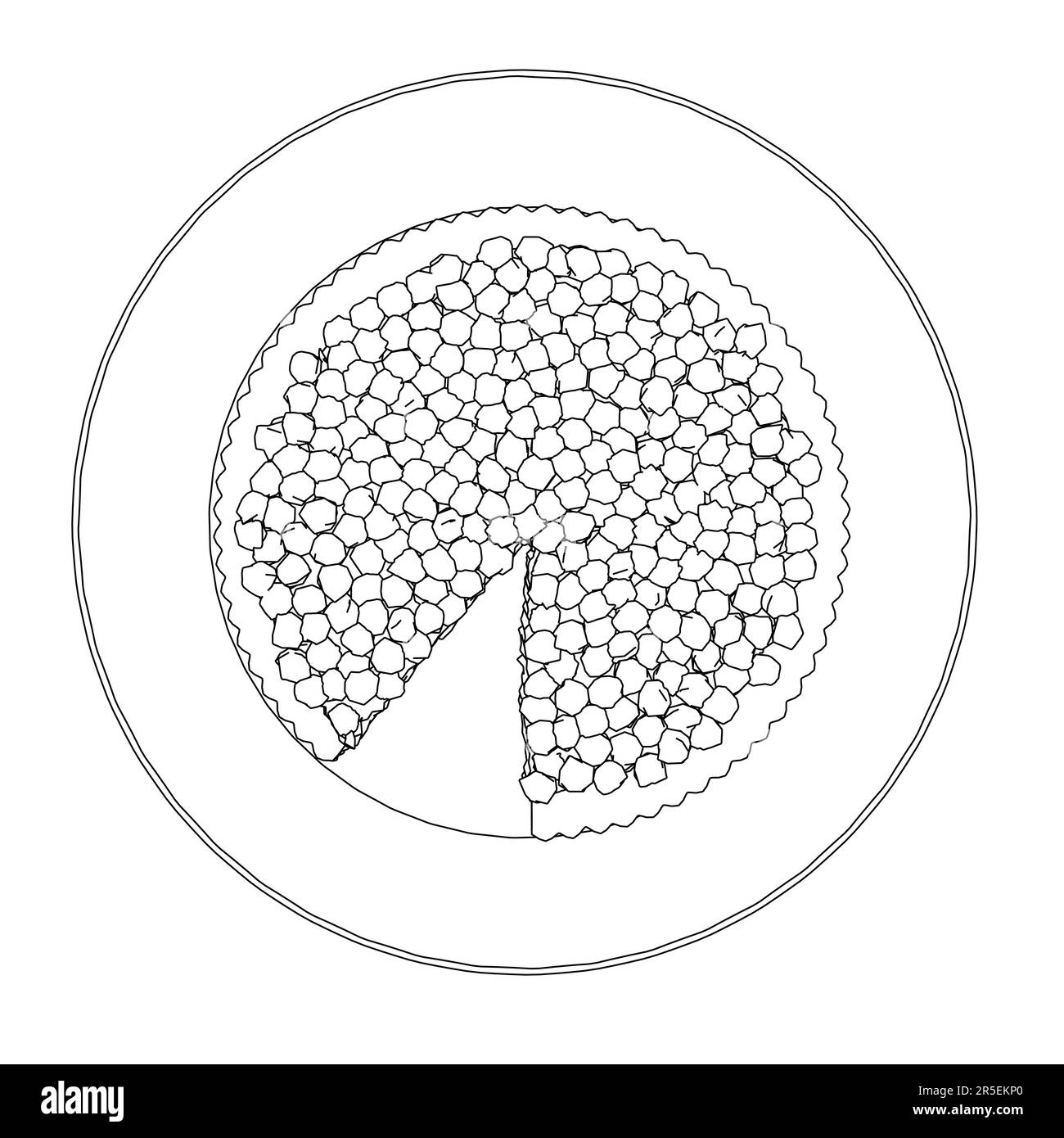 The contour of a pie with berries with a cut piece on a plate from ...