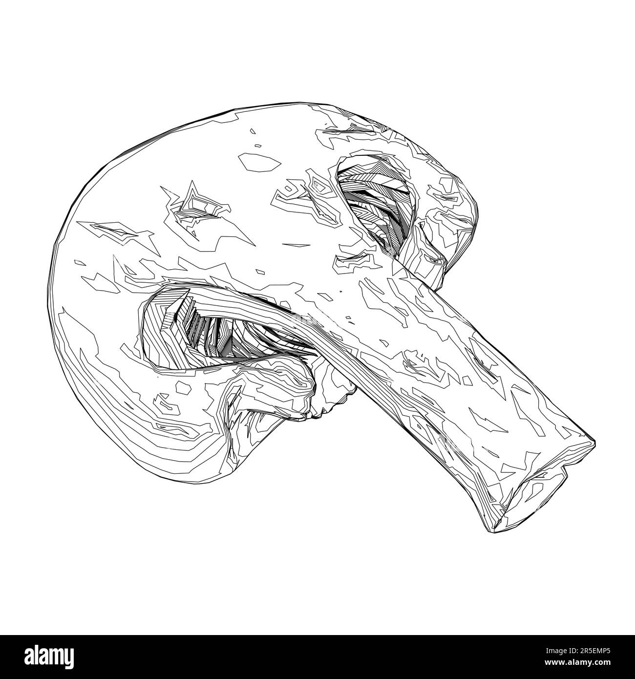 Outline of a mushroom cut in half from black lines isolated on a white ...