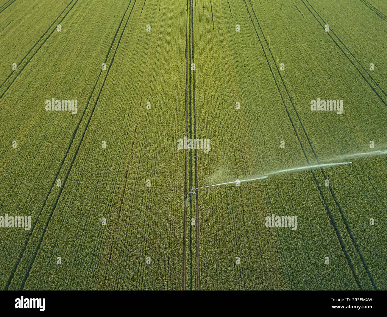 Taking care of the crop. Aerial view of irrigation system for ...