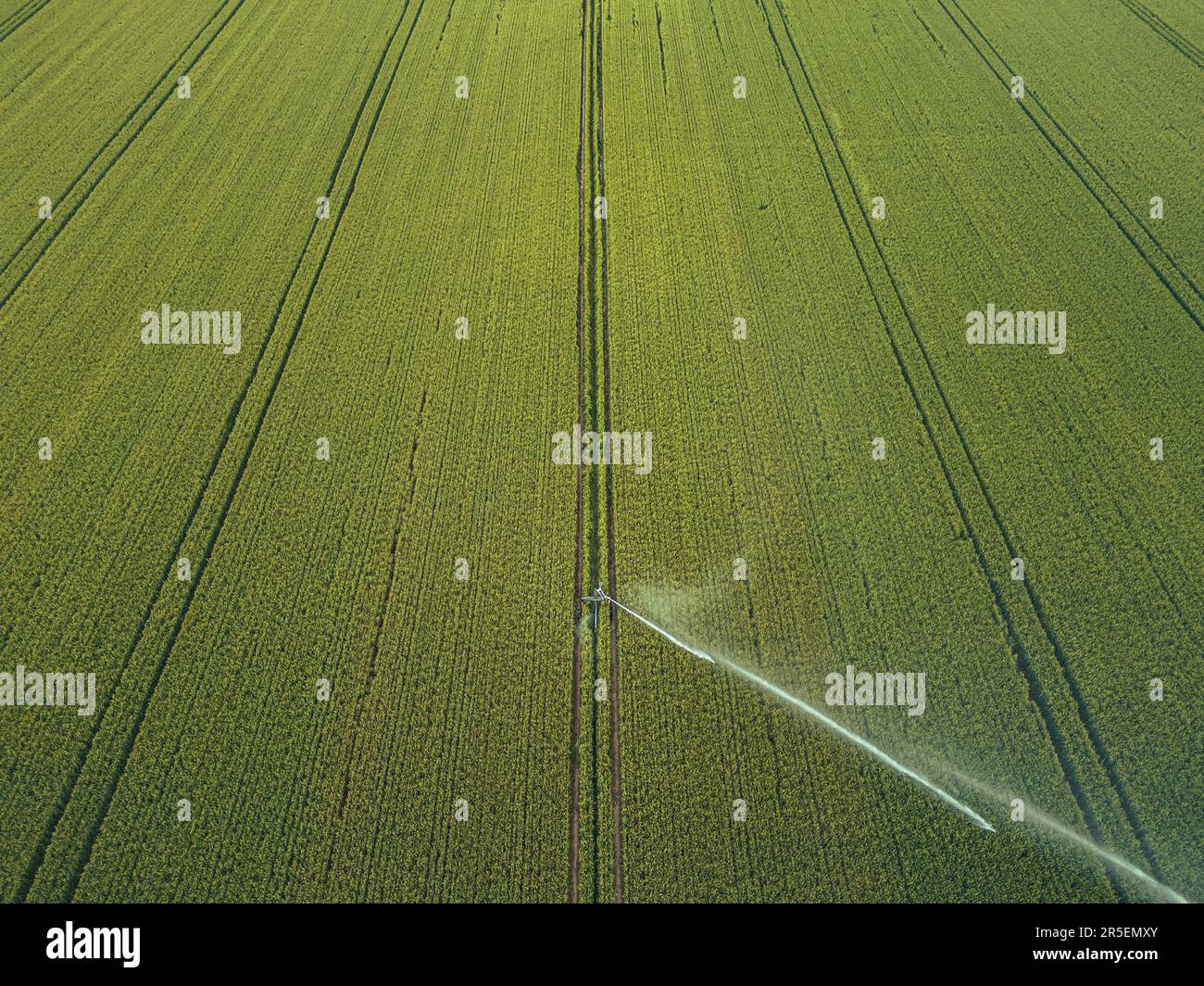 Taking care of the crop. Aerial view of irrigation system for ...