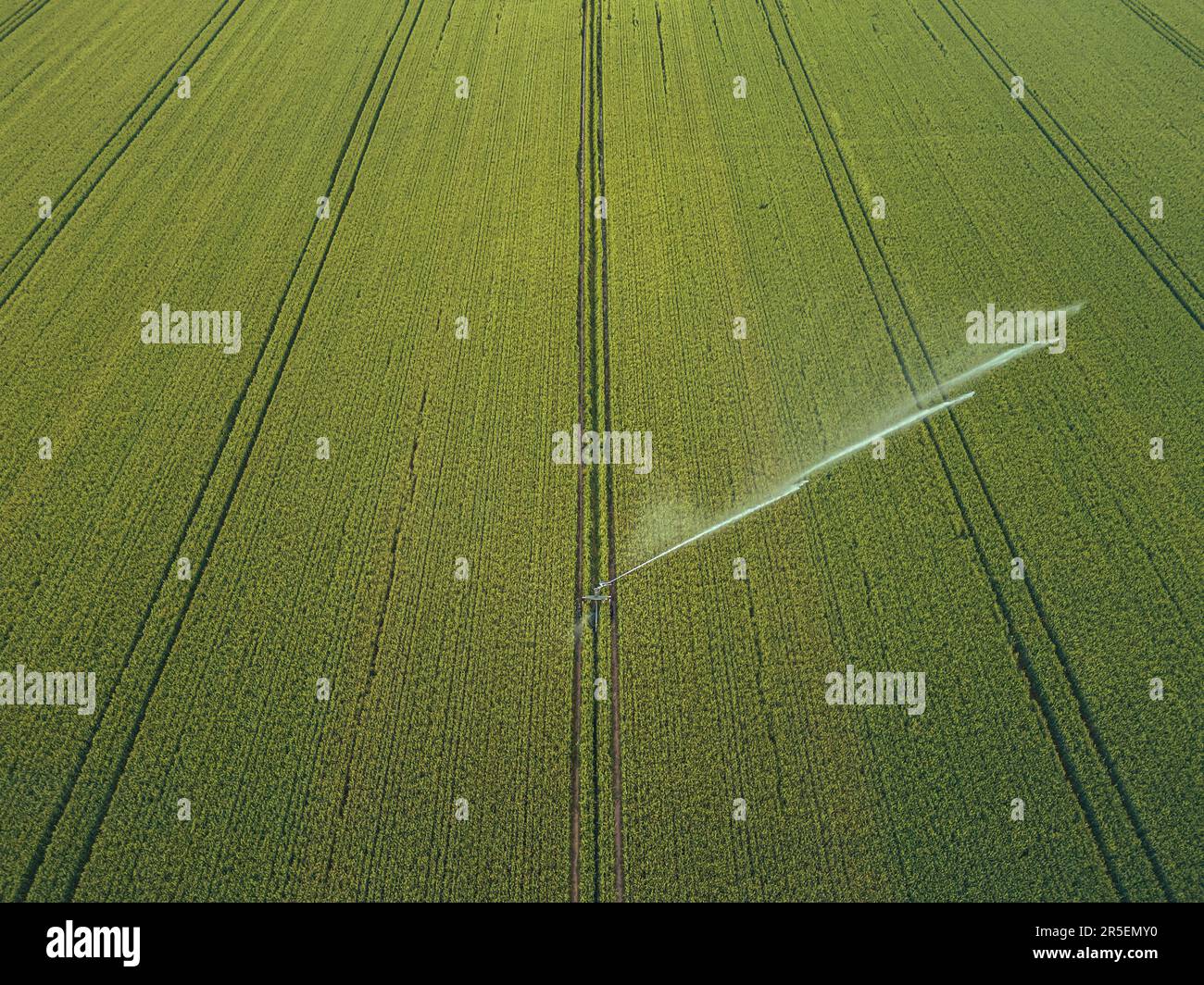 Taking care of the crop. Aerial view of irrigation system for ...