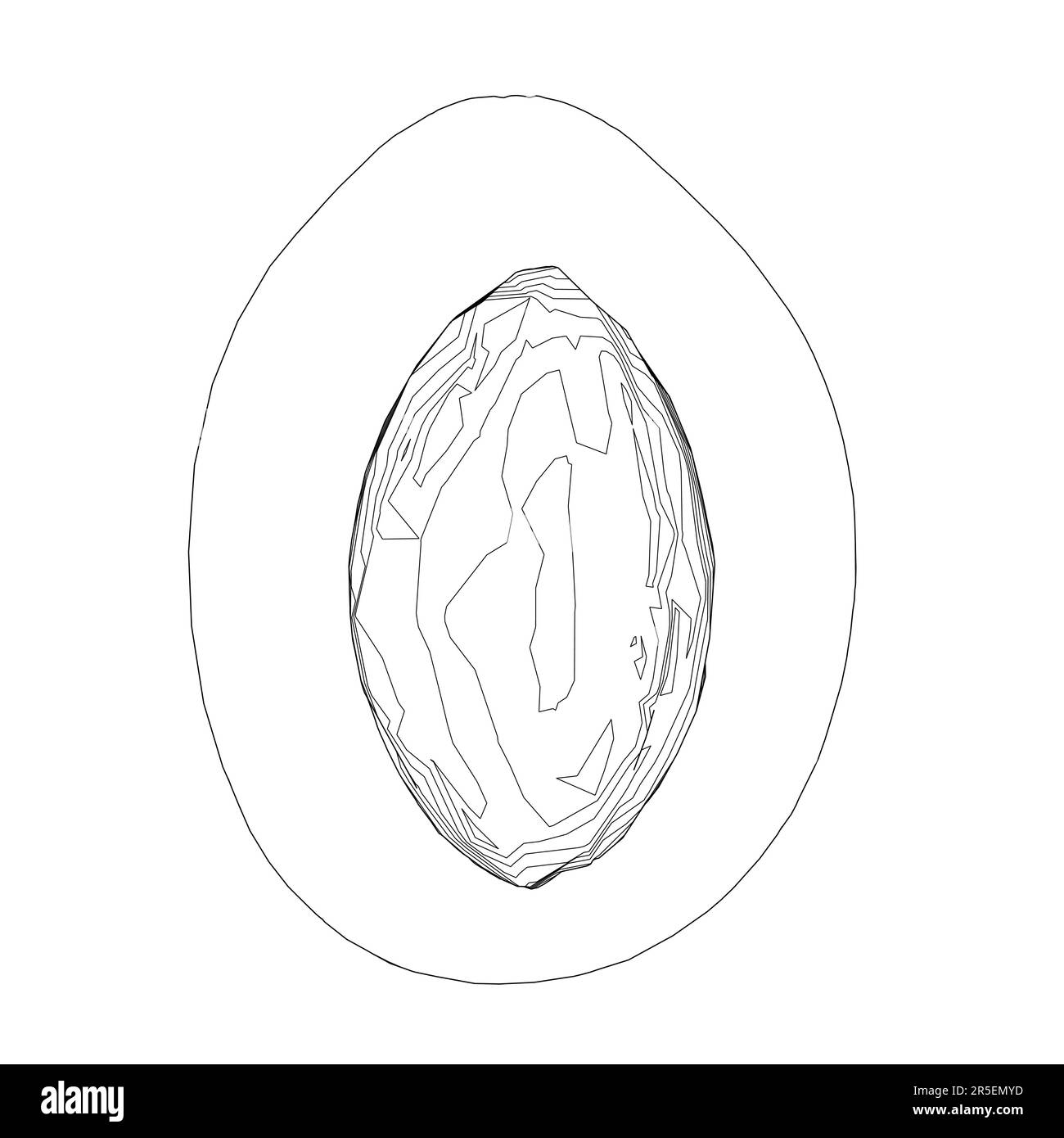 Avocado outline from black lines isolated on white background. Front view. 3D. Vector ...