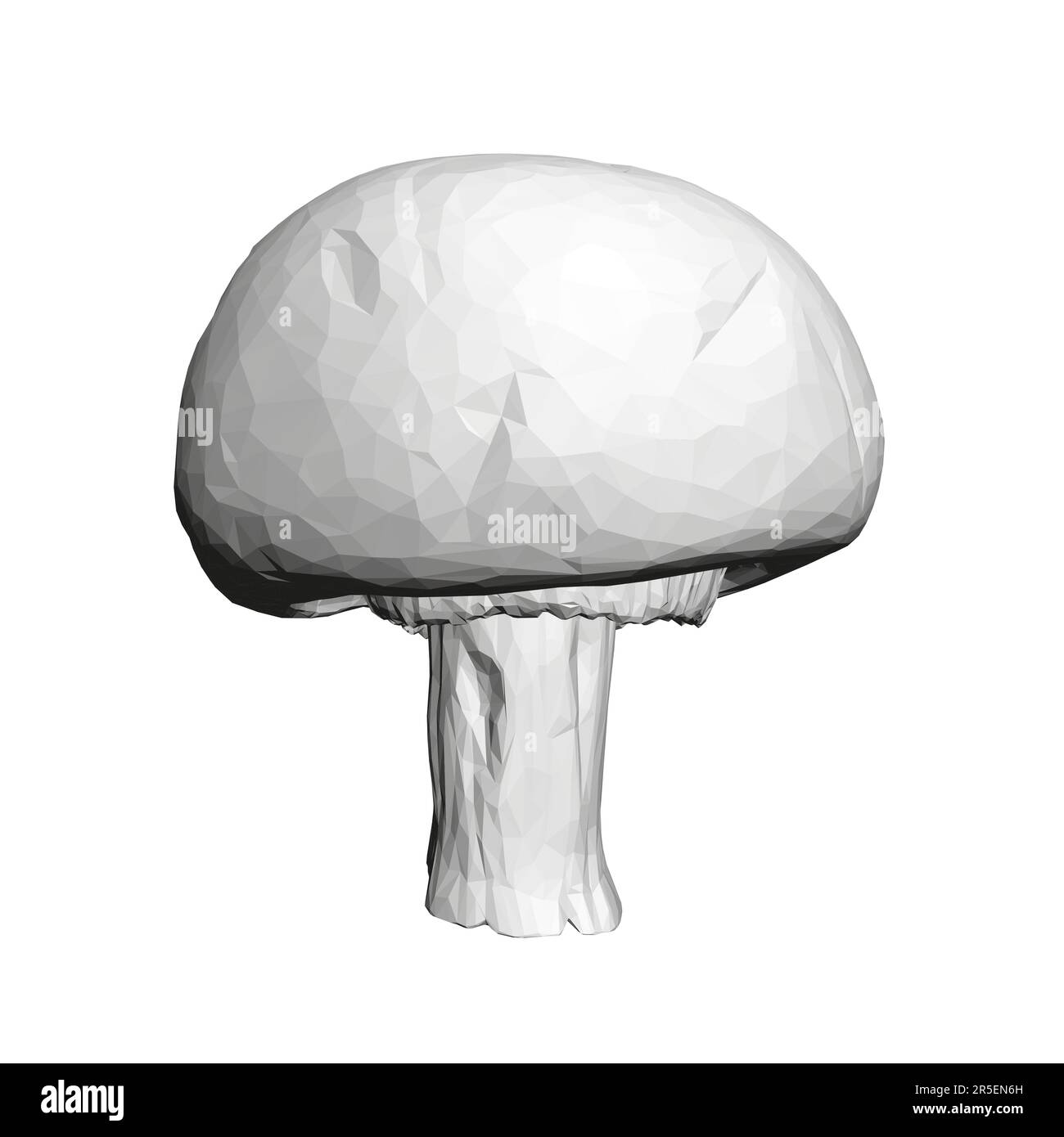 Polygonal model of white mushroom isolated on white background. Front view. 3D. Vector ...
