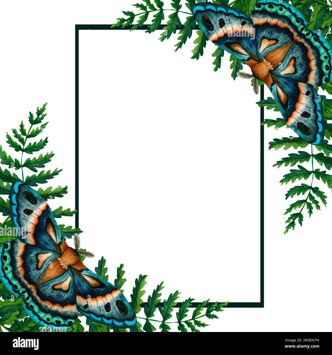 Frame with fern and blue green moth watercolor hand painted ...