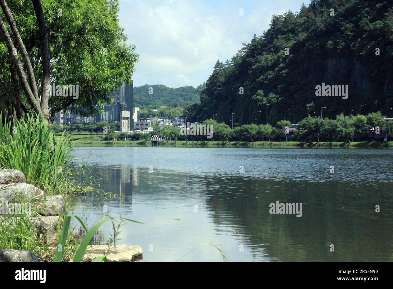 Spring park scenery with bamboo and roses and road in Namgang, Jinju ...