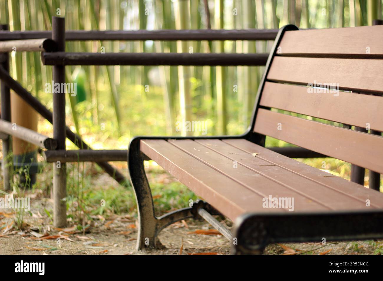 Spring park scenery with bamboo and roses and road in Namgang, Jinju ...