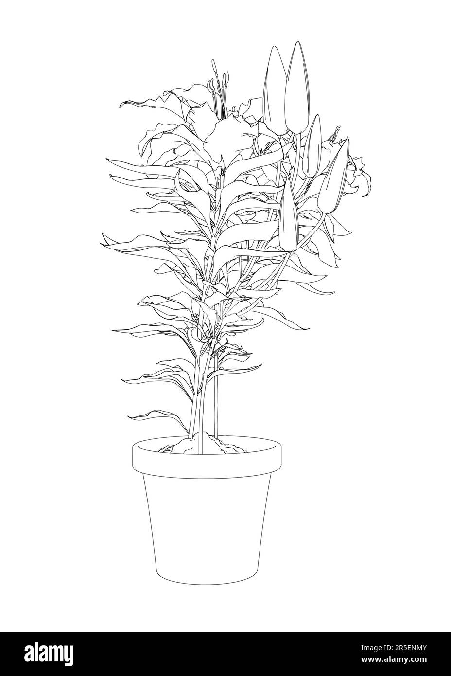 Outline of a home flower in a pot from black lines isolated on a white ...