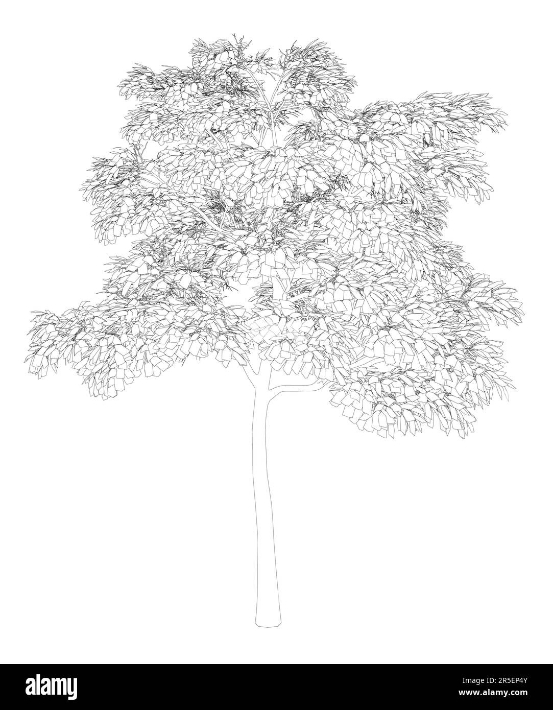 Outline of a detailed tree from black lines isolated on a white ...