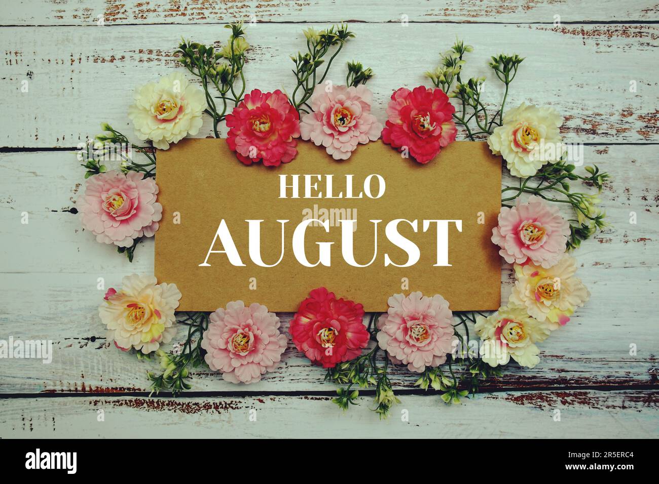 Hello August Photography