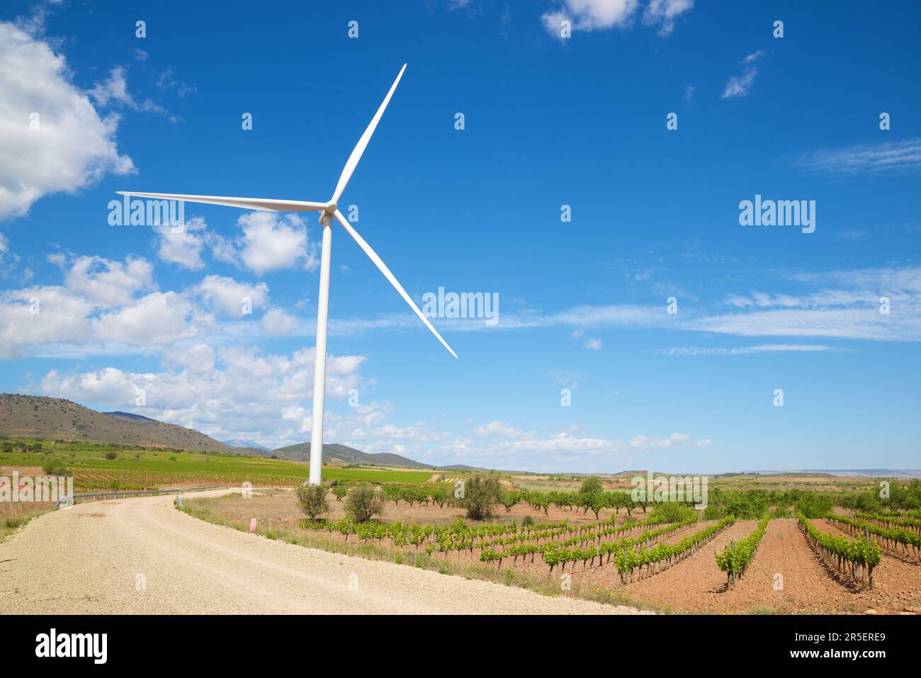 Wind turbine generator for clean electrical energy production and ...