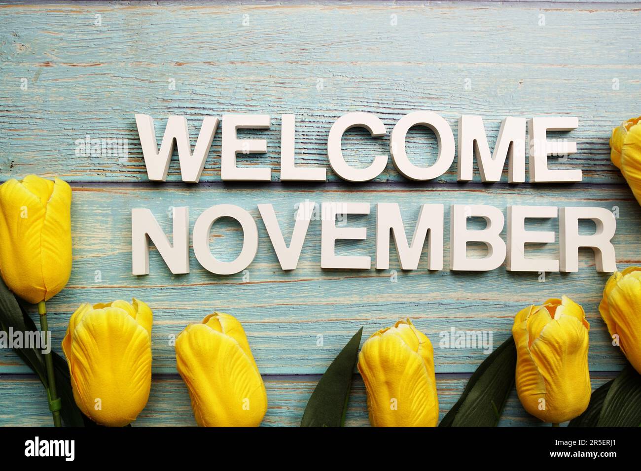 Welcome November alphabet letters with tulip flower on wooden ...