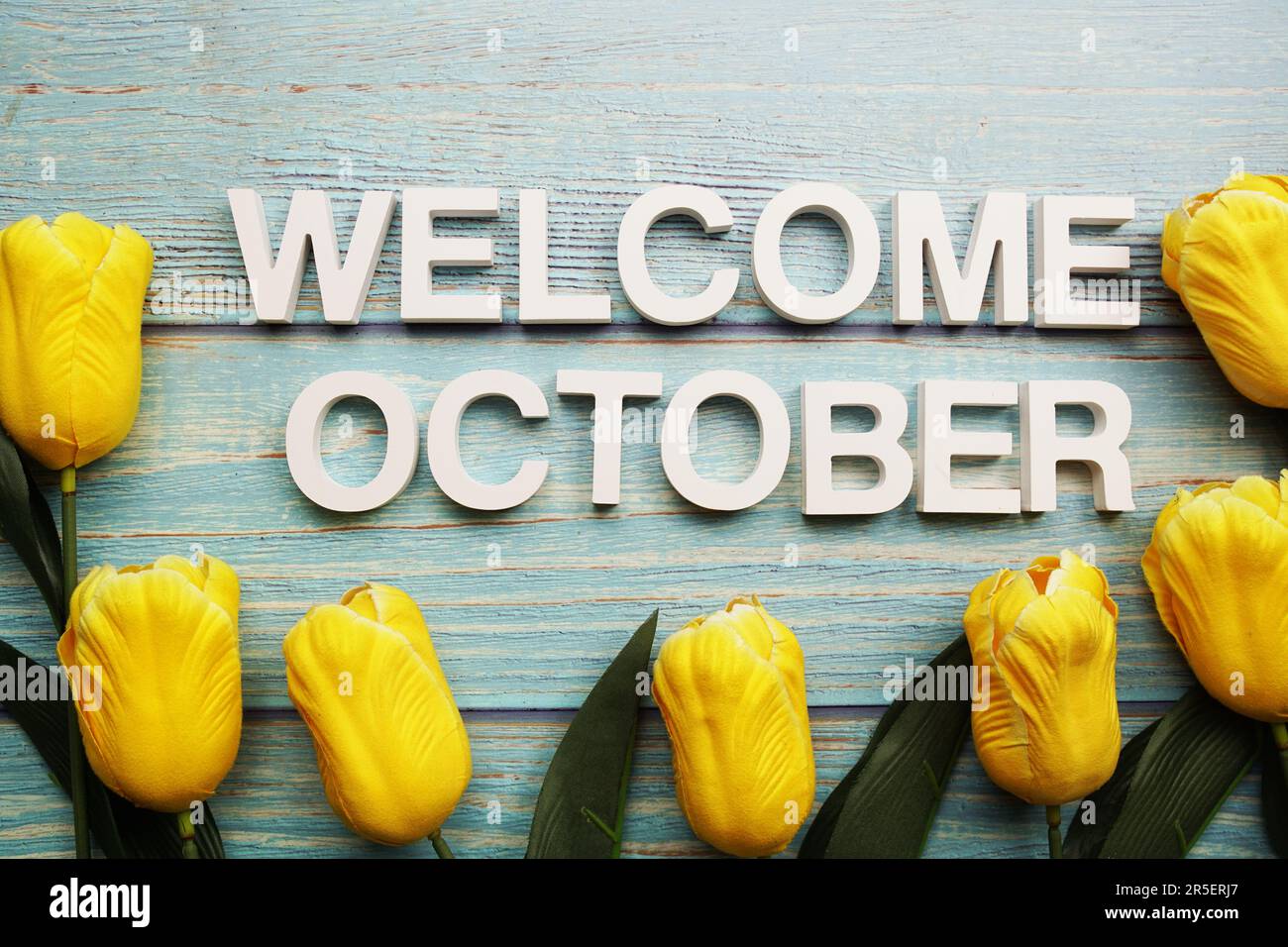 Fall floral alphabet hi-res stock photography and images - Alamy