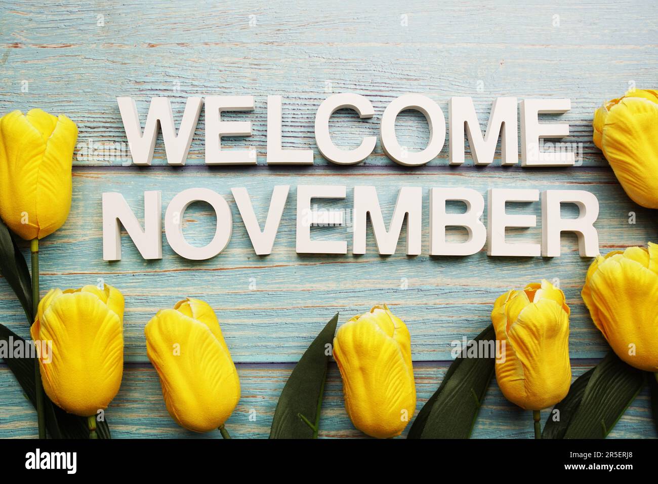 Welcome November alphabet letters with tulip flower on wooden ...