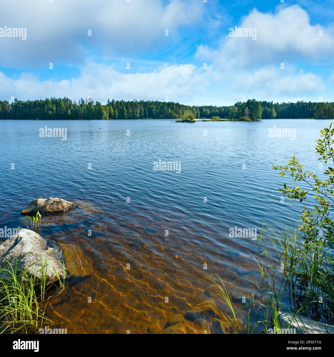 Lake summer view with forest on the edge ( Finland Stock Photo - Alamy