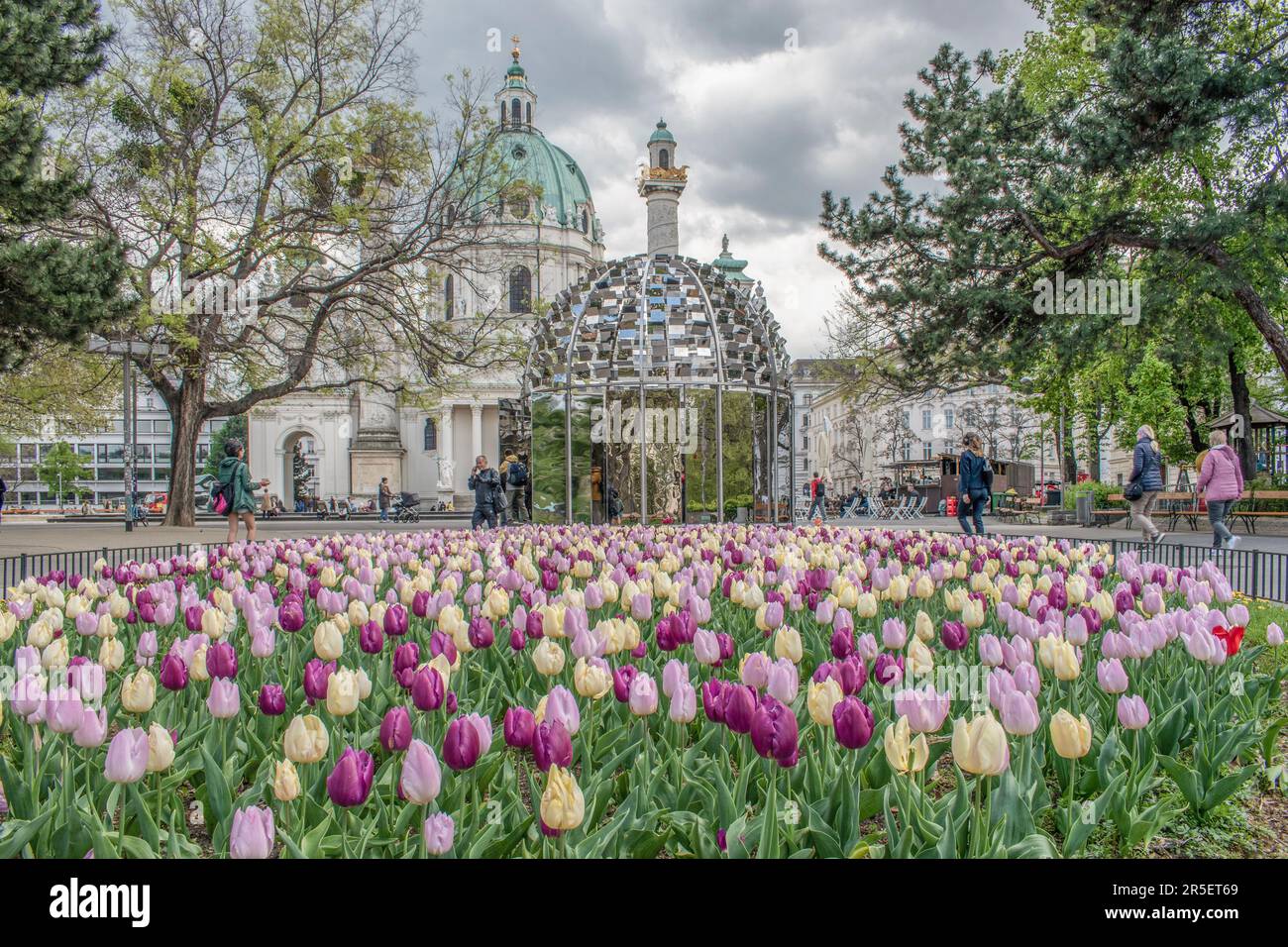 vienna, austria. 26 april 2023 garden tulip. Pink, white, and purple ...