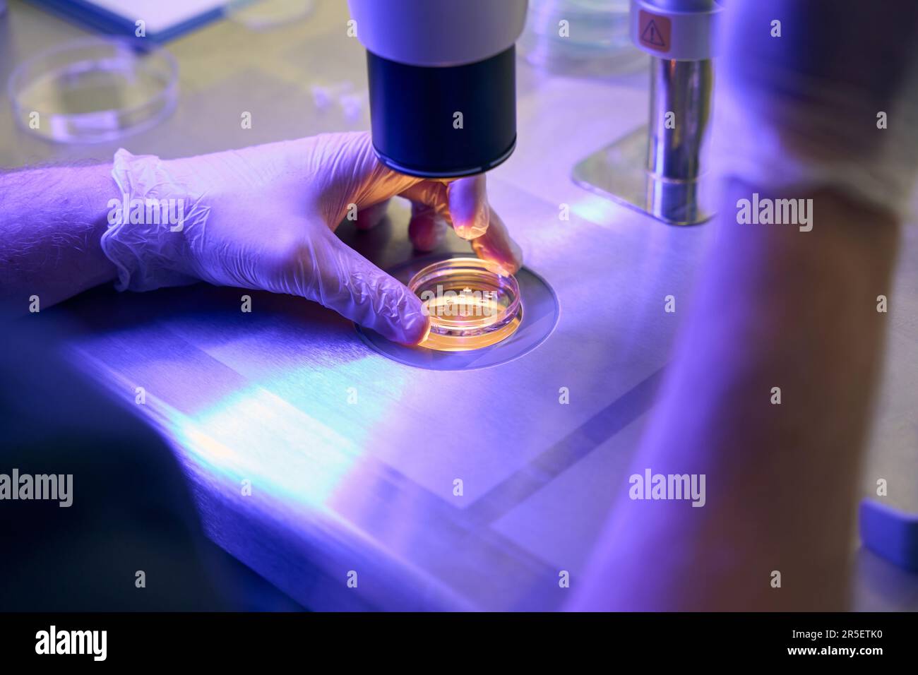 Biolaboratory worker is examining samples under microscope Stock Photo ...