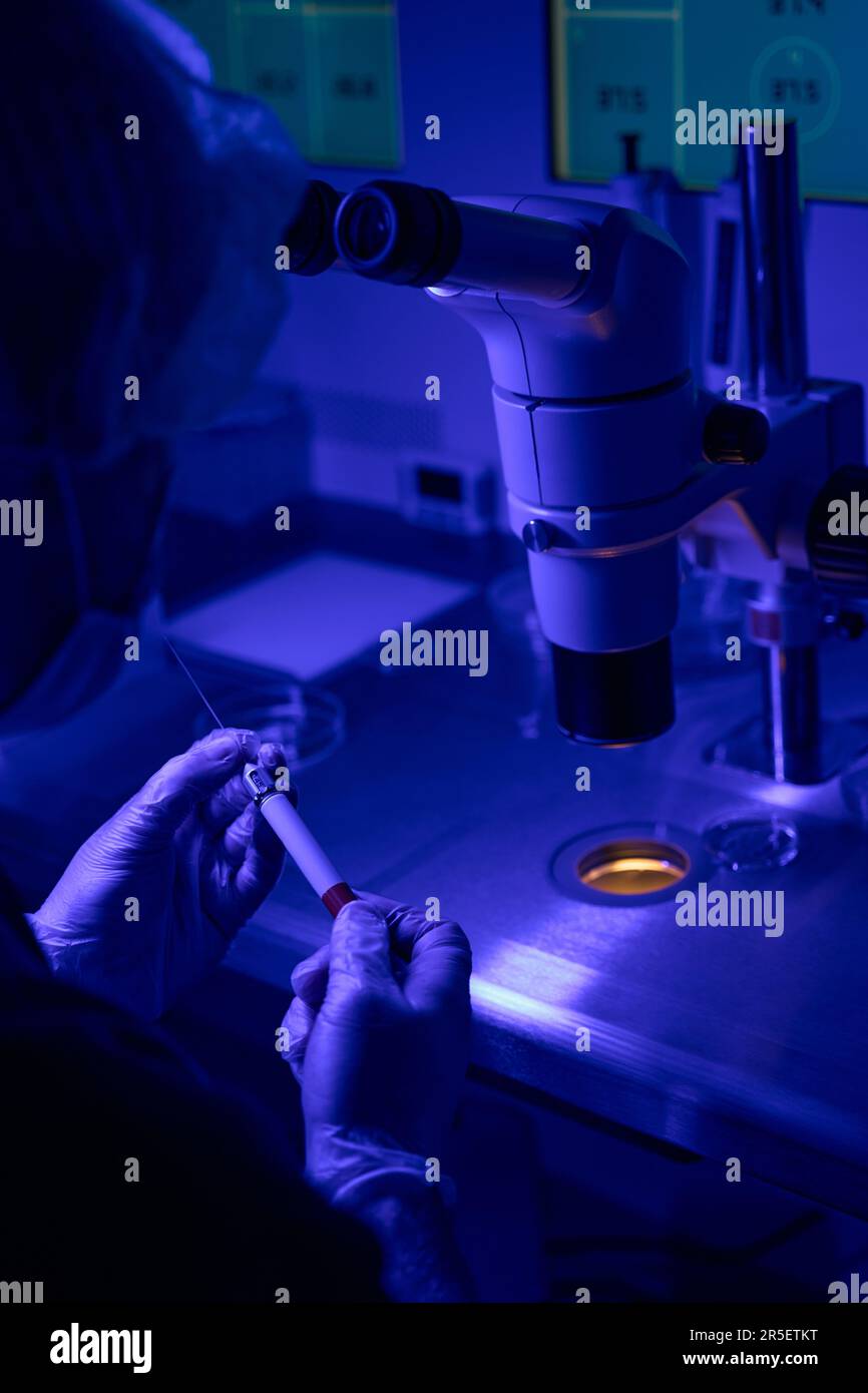 Laboratory engineer adjusting capillary holder before sperm injection ...